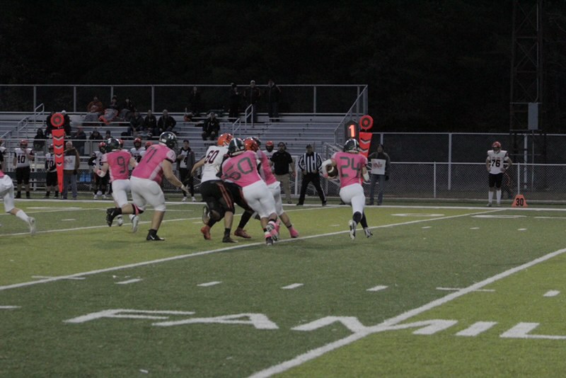Escanaba edges Wildcats, 28-25 | News, Sports, Jobs - The Alpena News